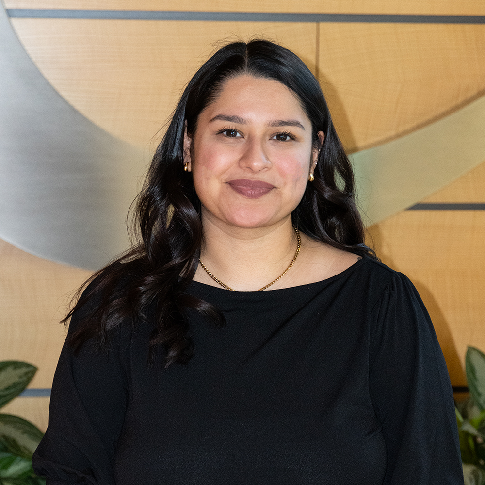 Itzel Diaz, LSW | Latinx terapia